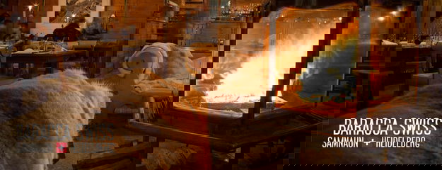 Baracca Swiss | Radio Regenbogen