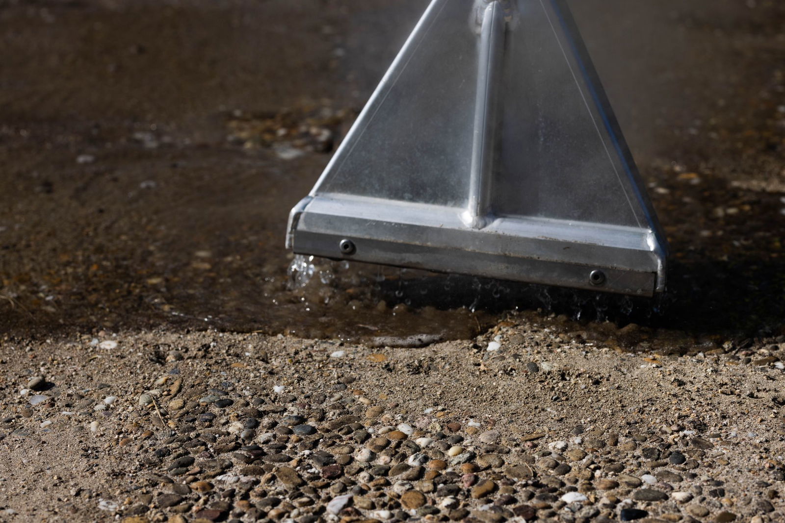 Ameise Tapinoma magnum: Superkolonie und unterirdisches Nest | RPR1.