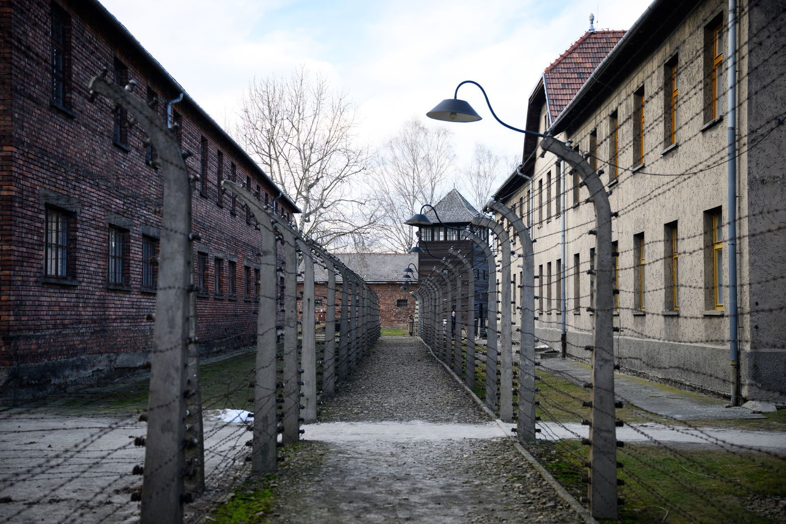 Holocaust-Überlebende: Verteidigen Sie die Demokratie | RPR1.